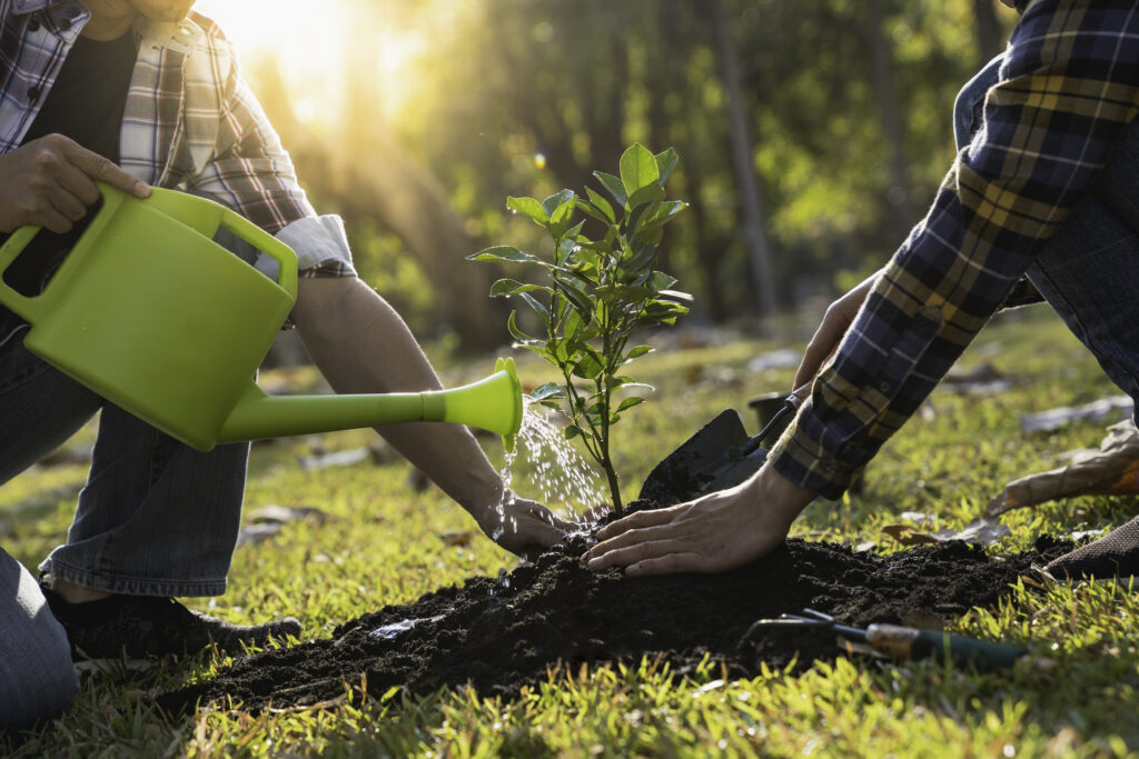 DELMARVA POWER PARTNERS WITH ARBOR DAY FOUNDATION TO OFFER FREE TREES FOR ENERGY EFFICIENCY • TV ...